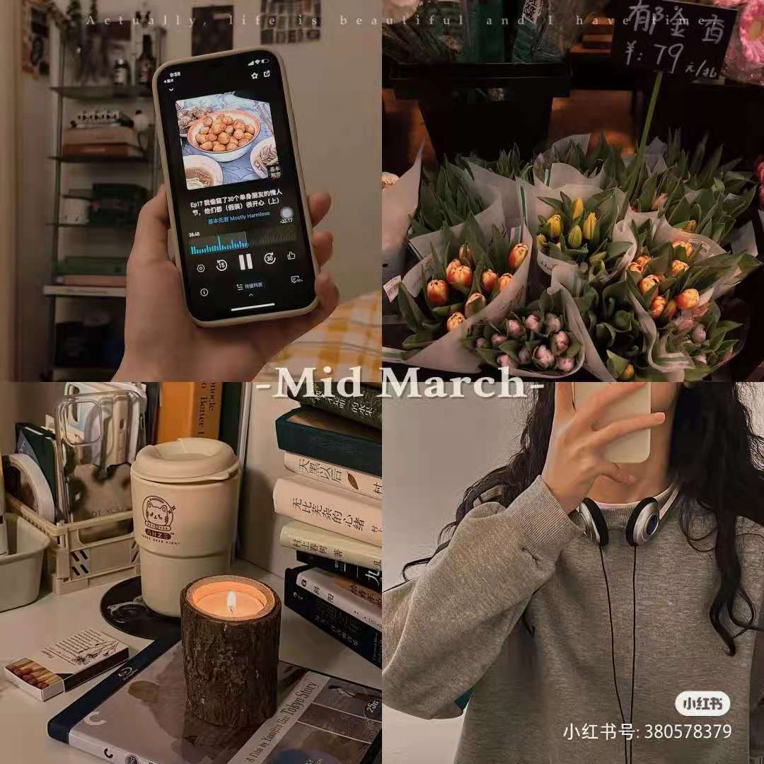 Plog制作|这三样素材，还真的缺一不可！