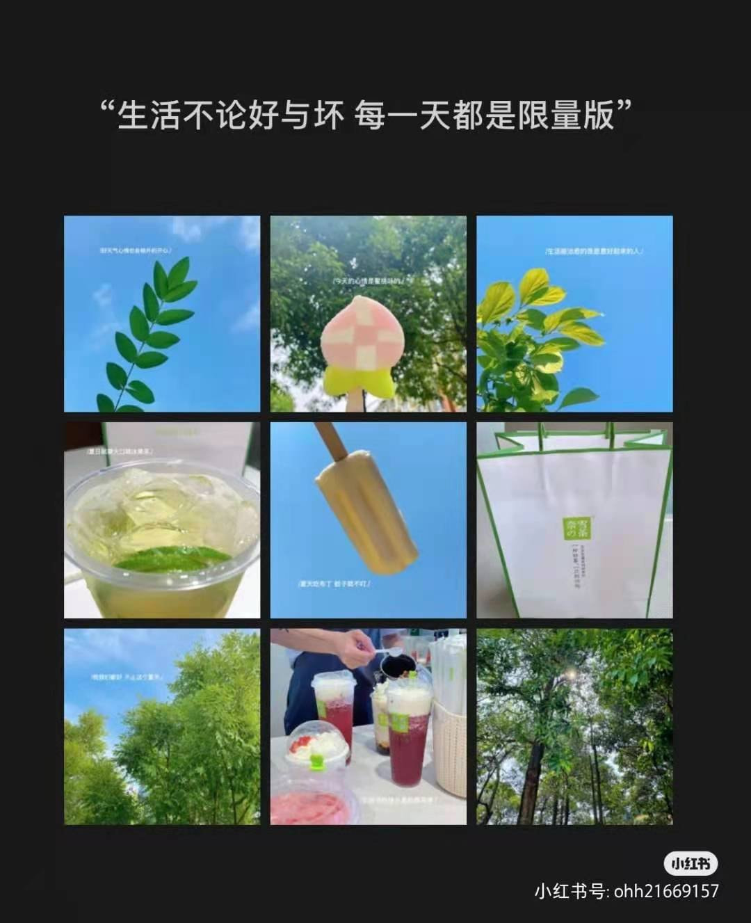 Plog制作|这三样素材，还真的缺一不可！