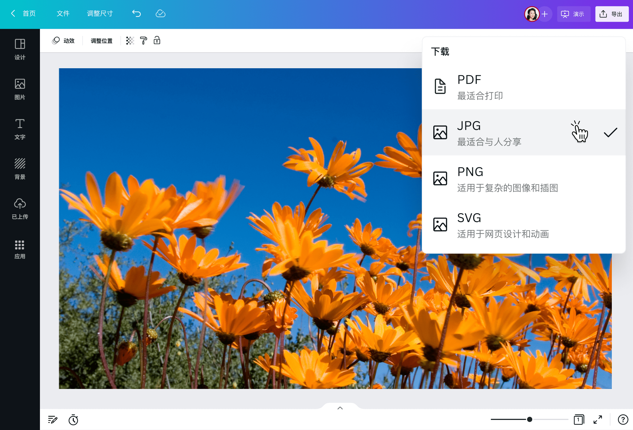 WebP转JPG_免费WebP转JPG转换器_图片格式转换 - Canva可画