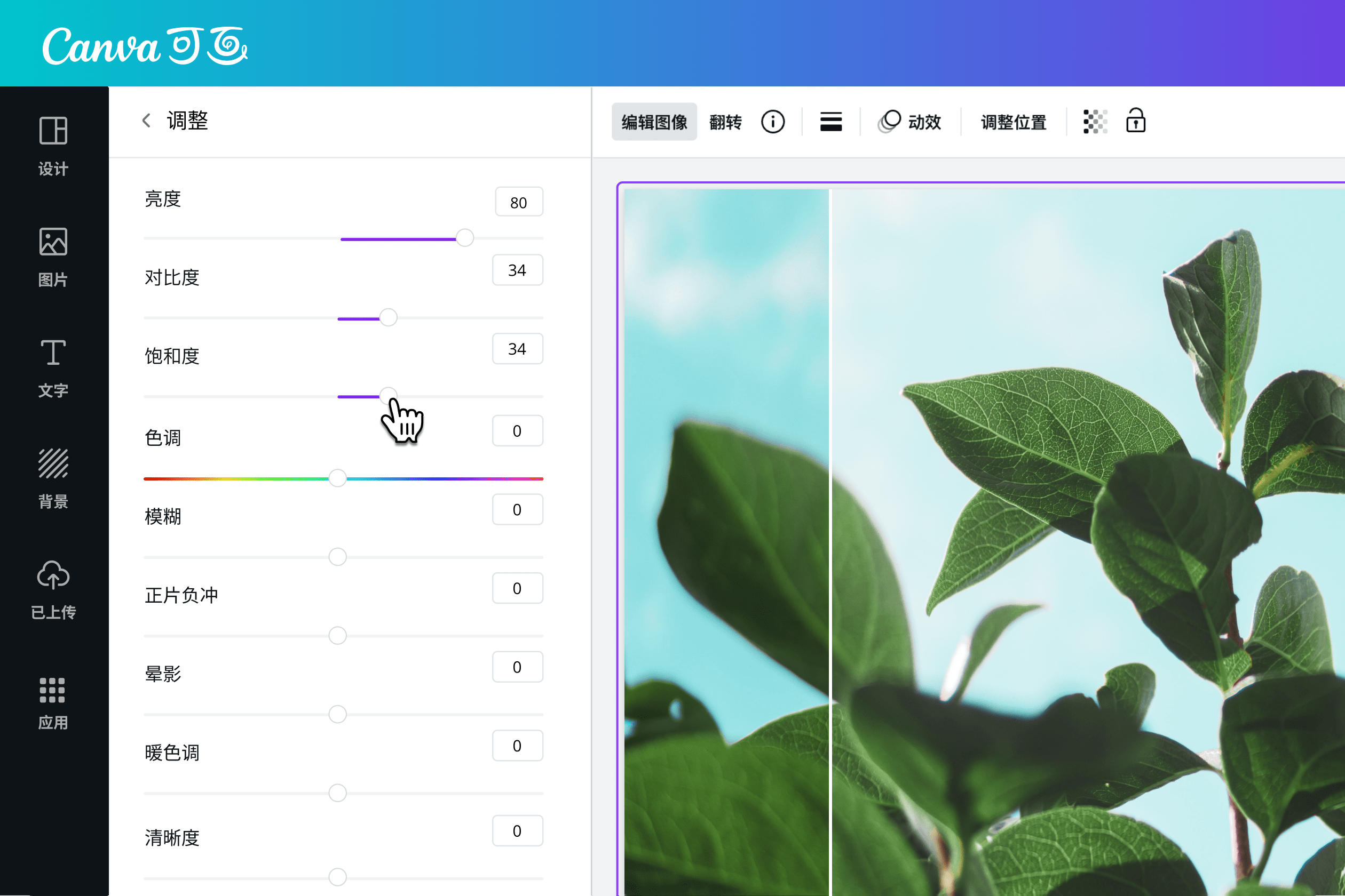 WebP转JPG_免费WebP转JPG转换器_图片格式转换 - Canva可画