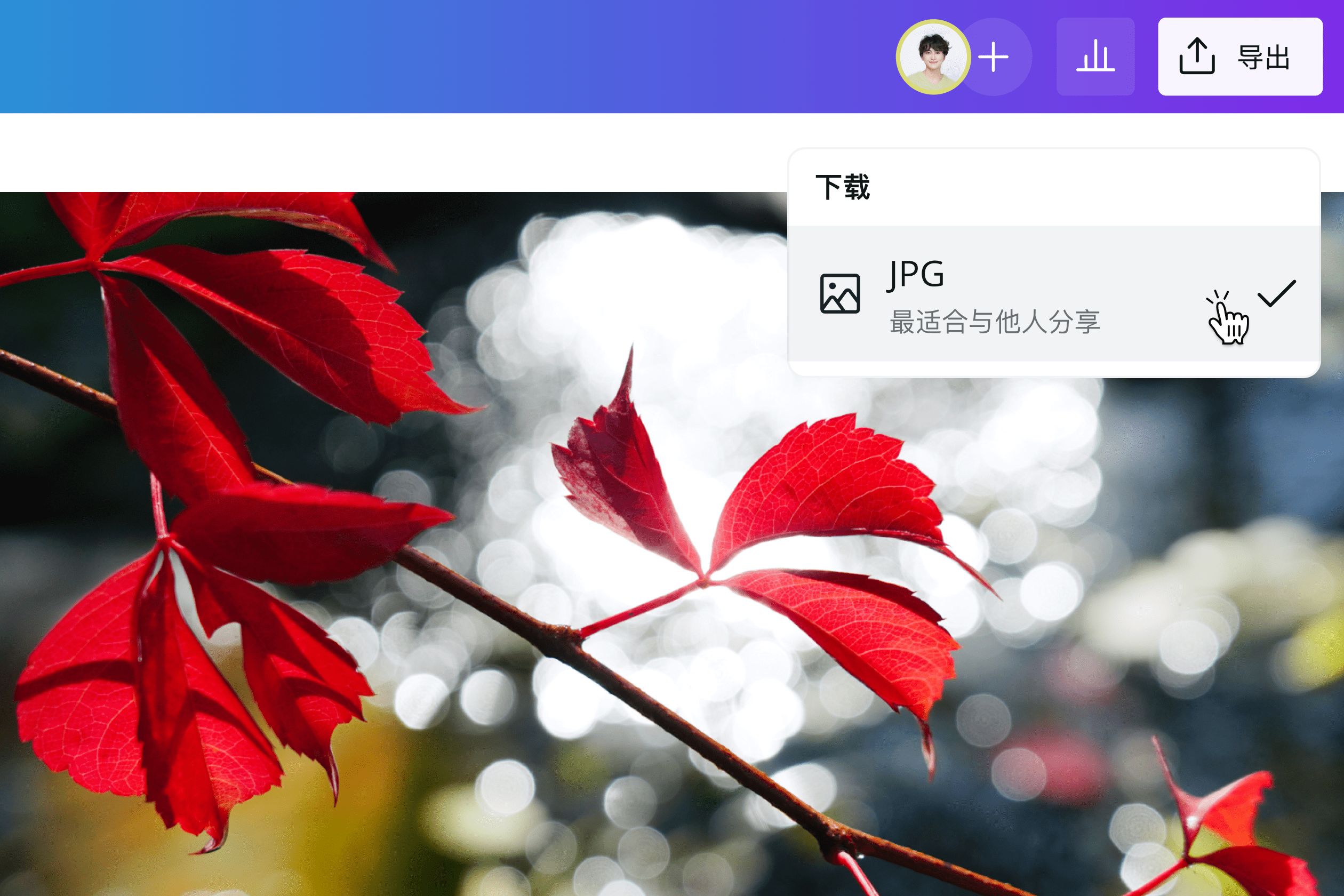 WebP转JPG_免费WebP转JPG转换器_图片格式转换 - Canva可画