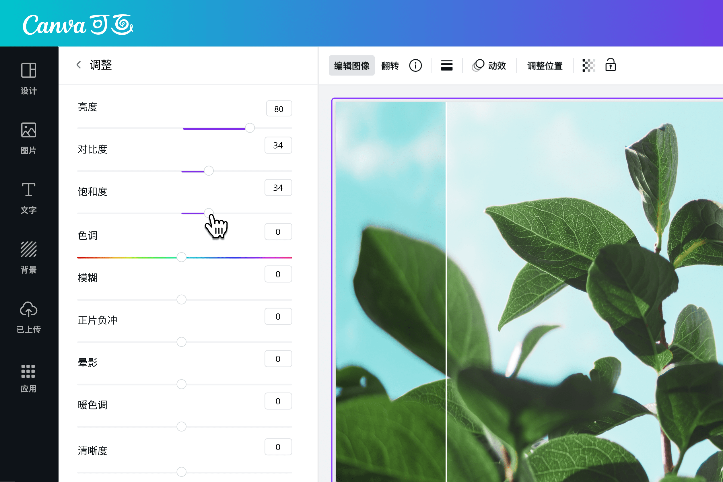 WebP转PNG_免费WebP转PNG转换器_图片格式转换 - Canva可画